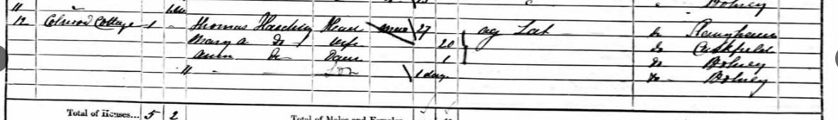 52 Ancestors, Week 5 “In the Census” What happened to Jane Tyrell ...