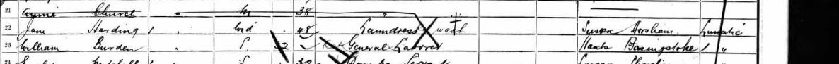 52 Ancestors, Week 5 “In the Census” What happened to Jane Tyrell ...